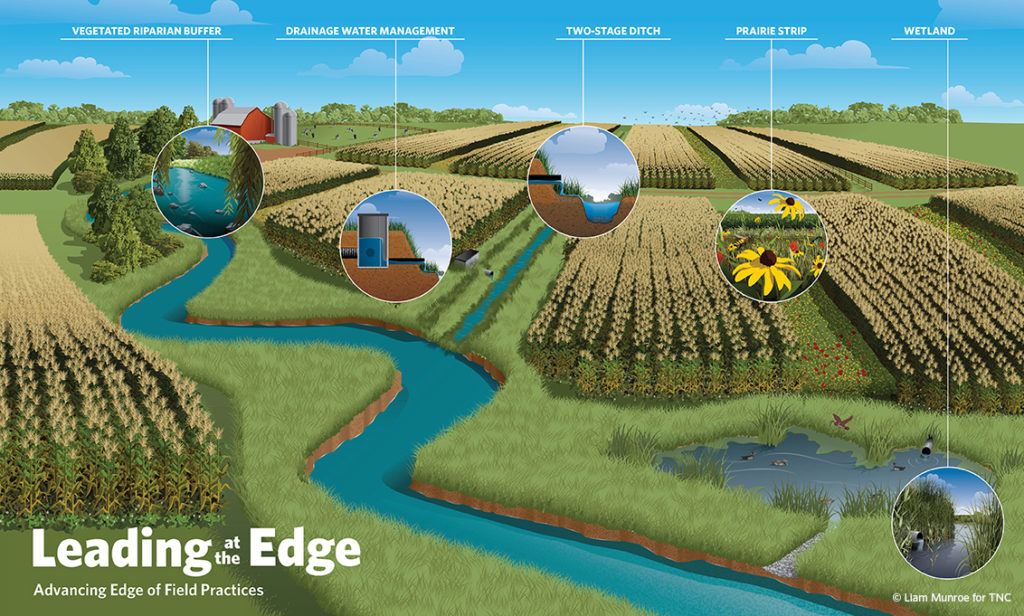 Edge of Field practices can help food and ag companies meet ...